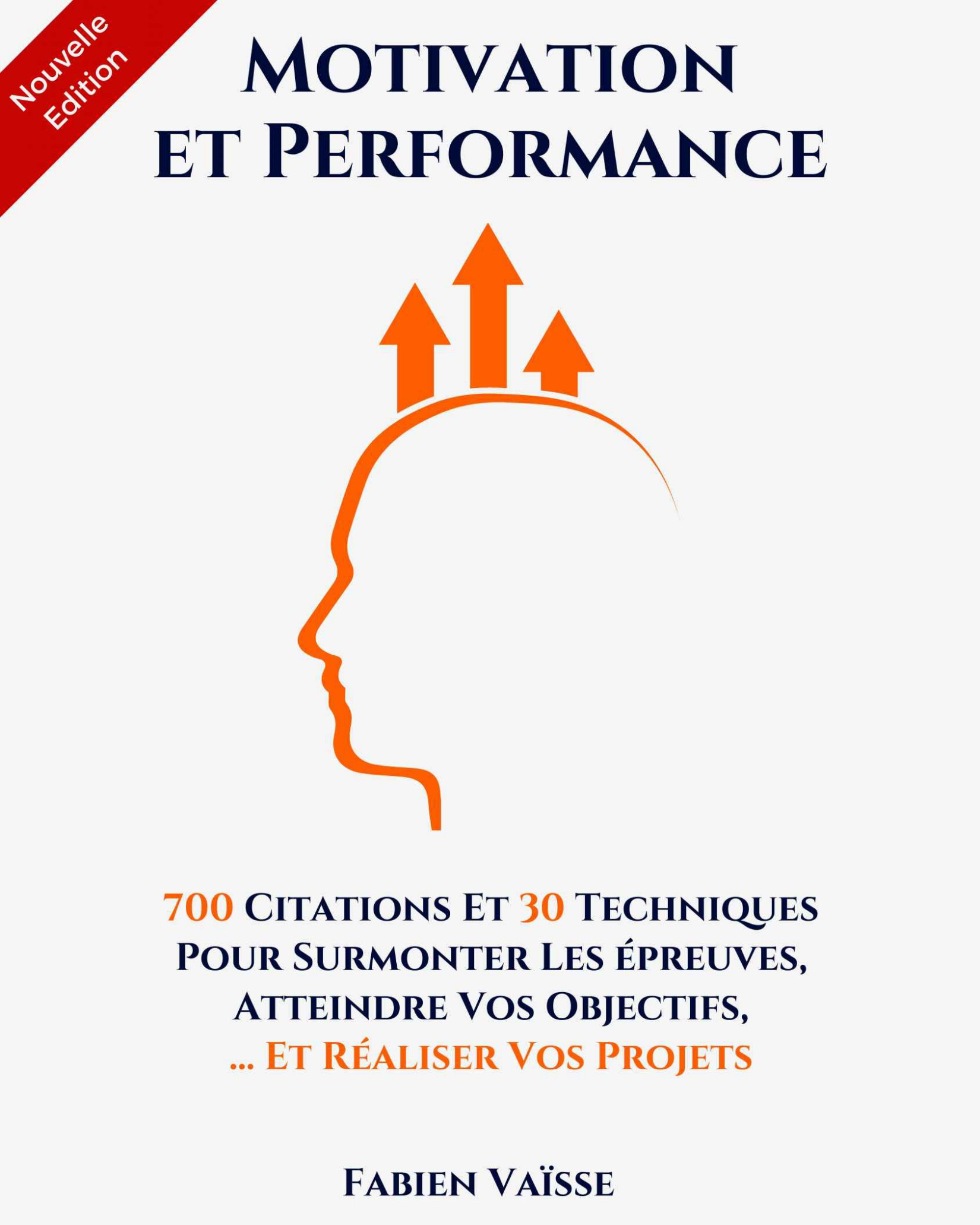 Motivation et performance: 700 citations et 30 techniques pour ...