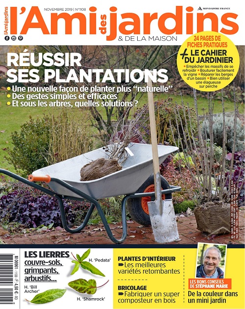 L'Ami Des Jardins et De La Maison N°1108 - Novembre 2019 - Télécharger Des Magazines, Journaux ...