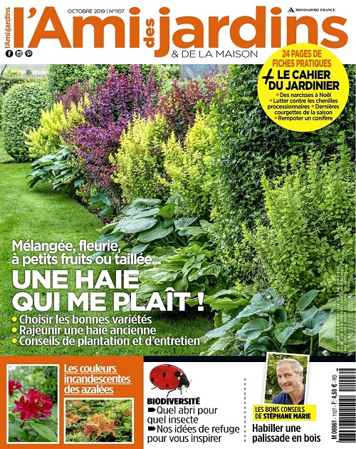L’Ami Des Jardins et De La Maison N°1107 - Octobre 2019 - Télécharger Des Magazines, Journaux et ...