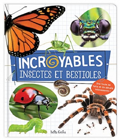 Incroyables insectes et bestioles - Claire Chabot 2023 - Télécharger ...