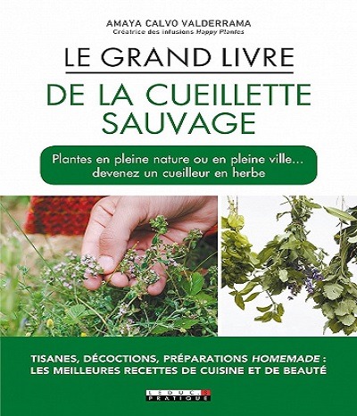 Le Grand Livre de la cueillette sauvage - Amaya - Calvo Valderrama ...